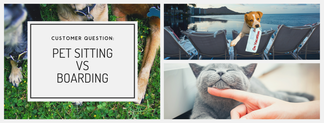 Customer questions: “Pet Sitting vs. Boarding. Which is better for my ...